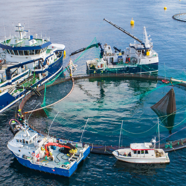 Om klyngesamarbeidet - NCE Aquatech Cluster